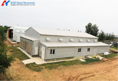 China Large Steel Structure Poultry Birds Chicken Farming Breeder Shed Building for sale