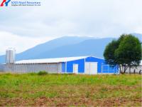 China Steel Structure Poultry Shed for Broilers and Layers for sale