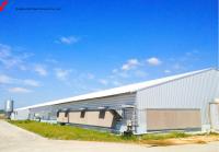 China Steel Structure Poultry Shed for Broilers and Layers for sale