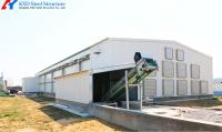 China Steel Structure Poultry Shed for Broilers and Layers for sale