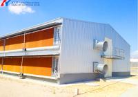 China Steel Structure Poultry Shed for Broilers and Layers for sale