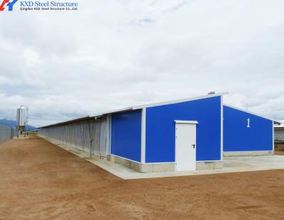 China Complete Controlled Poultry Shed Prefabricated Steel Structure Chicken House for Farm Building for sale