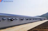 China Sreel Structure Poultry Shed with Automatic Equipment for Hens for sale