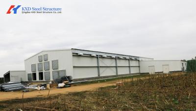 China Sreel Structure Poultry Shed with Automatic Equipment for Hens for sale