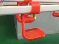 China Fully Automatic Poultry Drinker , Broiler Chicken Drinker Customized for sale