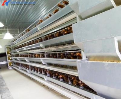 China Easy Operate Automatic Poultry Farm Equipment A Type Laying Hen Cages for sale