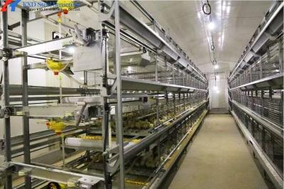 China Automatic Poultry Farm Chicken House Feeding Line A Type Layer Chicken Cage Equipment for sale