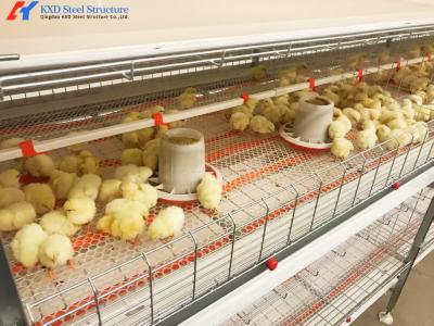 China Fully Automatic Poultry Farm Equipment , Galvanized Poultry Farm Layer Cage for sale
