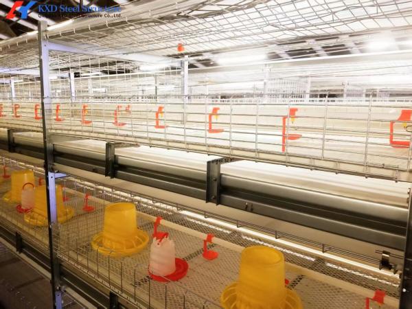 Quality Multifunctional Broiler Chicken Layer Battery Cage Automatic Poultry Farming for sale