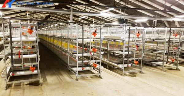 Quality Multifunctional Broiler Chicken Layer Battery Cage Automatic Poultry Farming for sale