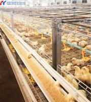 Quality Multifunctional Broiler Chicken Layer Battery Cage Automatic Poultry Farming for sale