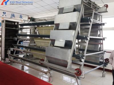China Automatic Broiler Chicken Farming Equipment H Type Chicken Steel Cage for sale