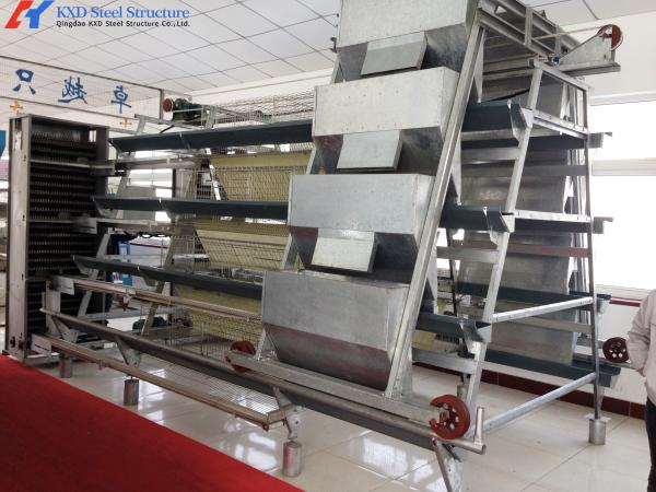 Quality Easy Install Broiler Chicken Cage Automatic Chicken Feeding System For Poultry for sale