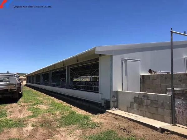 Quality Light Steel Frame Shed  , Steel Structure Sow House Pig Farm Equipment for sale