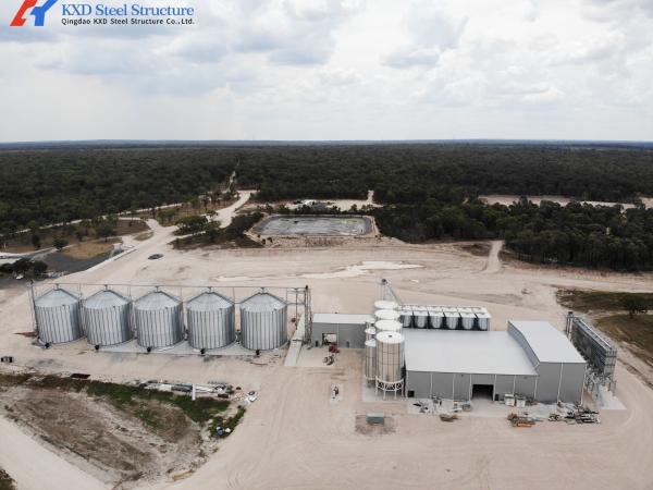 Quality Construction Prefab Steel Structure Piggery Farm House / Steel Structure Cow Shed for sale