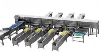 China Industrial Chicken Egg Washing Machine Automatic Chicken Egg Processing Line for sale