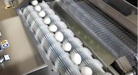 China Industrial Chicken Egg Washing Machine Automatic Chicken Egg Processing Line for sale