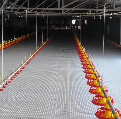 China Fully Automatic Animal Feeders Plastic Chicken Feeders And Drinkers for sale