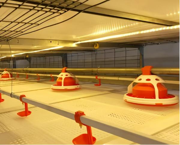 Quality Plastic Broiler Poultry Equipment Full Automatic Broiler Pan Feeder Customized for sale