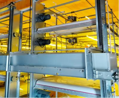 China Plastic Broiler Poultry Equipment Full Automatic Broiler Pan Feeder Customized for sale