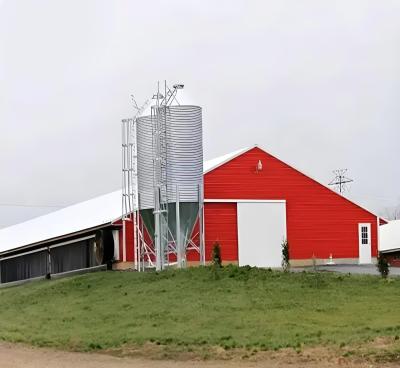 China Q235B Q355B Carbon Steel Poultry House Prefabricated Steel Structure Farm House for sale