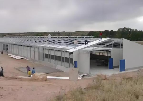 Quality Durable Steel Poultry House Automatic Feeding System Feeding Pan Poultry for sale