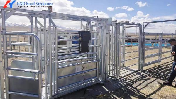 Quality Livestock Horse Yard Panel Galvanized Portable Horse Corral Panels for sale