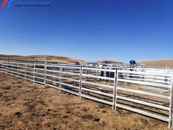 Quality Livestock Horse Yard Panel Galvanized Portable Horse Corral Panels for sale