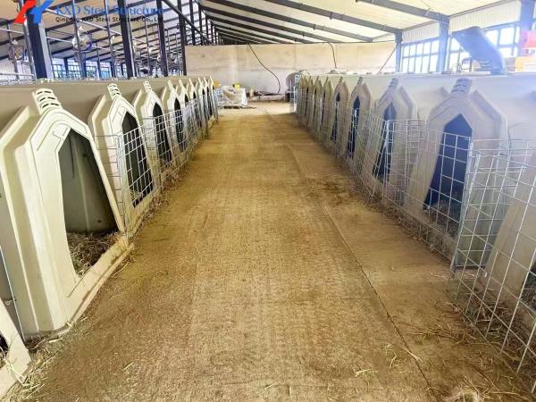 Quality Anti Rust Galvanized Steel Cattle Yard Panels For Farm Fencing for sale