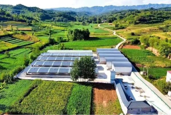 Quality Livestock Shelter Dairy Farm Barn Custom Steel Structure Cow Shed For Live Cattle for sale