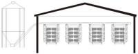 China A Type Layer Rearing Broiler Chicken Cage System Fully Automated for sale
