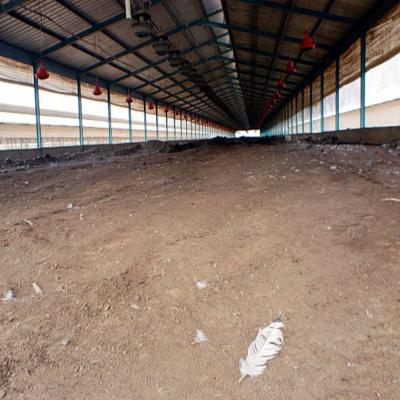 China H Section Steel Poultry House with Natural and Mechanical Ventilation for Quick/Easy Installation for sale