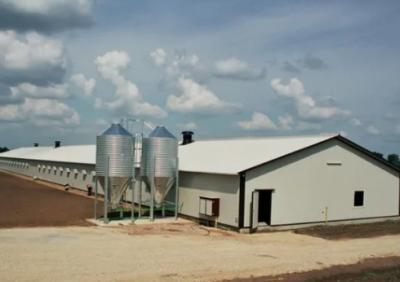 China Fast Installation Hot-DIP Galvanized Prefabricated Steel Poultry House with Customize Design for sale