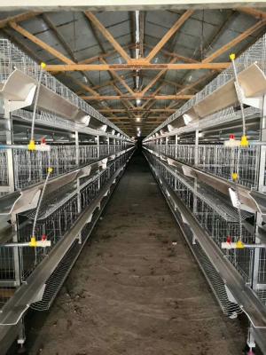 China Low Breakage RateTiered layer cage system Full Automation Integration 20-Year Lifespan for sale