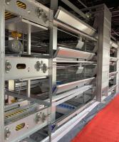 China Labor Saving Automatic Battery Cage Easy Operation Hygienic & Clean High Efficiency for sale