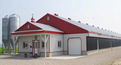 China Prerfabricated Steel Structure Layer Chicken House Poultry Shed Construction for sale