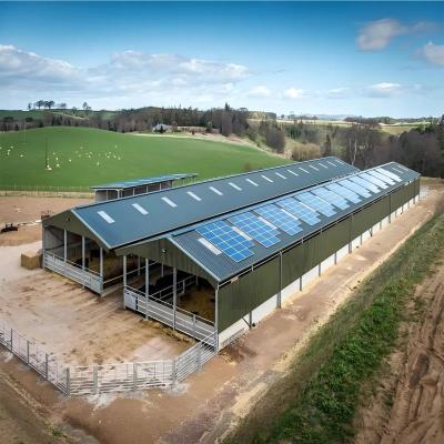 China Steel Structure Cattle Feeding and Milking Sheds Sale for sale