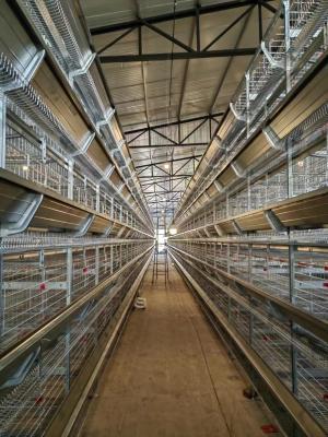 China Hot-dip Galvanized Automatic Layer Cage Equipment for Poultry Farm for sale