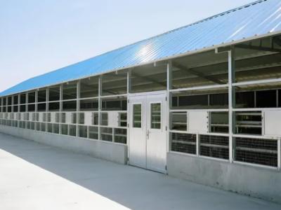 China Reduced Environmental Pollution Strong Wind Resistance Prefabricated Steel Structure Chicken House for sale