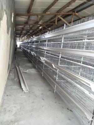China Hot-dip Galvanized Small Tier Layer Cages Easy Manure Removal  Customized service for sale