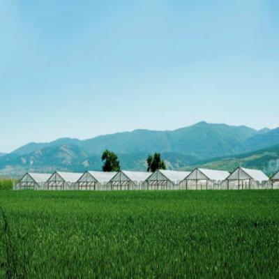 China ModularNest Poultry Systems with Scalable Modular Design, Hygienic & Easy to Clean Features for Enhanced Biosecurity for sale