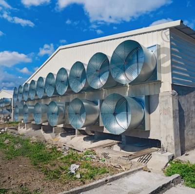 China Low Cost Automatic Poultry Equipment with Feed Delivery, Ventilation, and Cooling Systems for sale