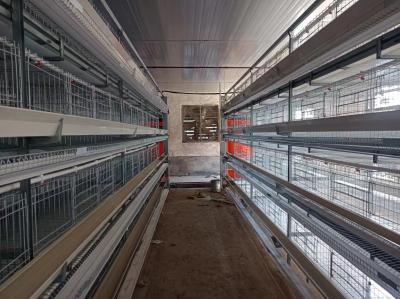 China H Shaped Stacked Layer Chicken Cage with Modular Structure, Automatic Ventilation System, and Hot-DIP Galvanized Steel for sale