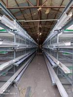 China Bestchickencage H-Type Layer Cage with Galvanized Material and Automated Supporting Systems for High-Density Stacking for sale