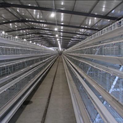 China Fully Automated Poultry House Equipment with 50-Year Service Life and Food-Grade Drinking Fountain System for sale