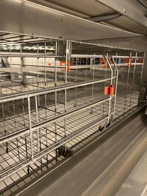 China Modular Frame Layer Cage System with Automatic Egg Collection and Corrosion Resistant Design for Poultry Farming for sale