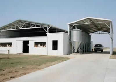 China Prefabricated Steel Structure Chicken Coop with Strong Wind Resistance and Reduced Environmental Pollution for sale