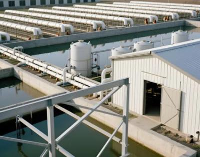 China Natural Lighting Deformation Resistance Prefabricated Steel Structure Chicken House for sale