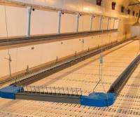 China Galvanized Steel Adjustable Height Corrosion Resistant Poultry Feeding System for Broilers for sale