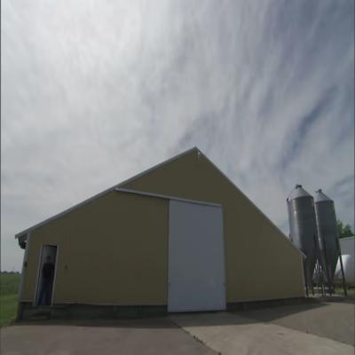 China Hot-dip Galvanized Prefabricated Steel Poultry House with 5000 Birds Capacity and Climate Control for sale